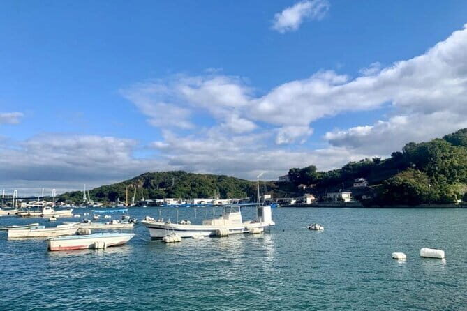 Onomichi and Ikuchijima Island Tour Temples Ropeway and Ferry - Practical Aspects and Value
