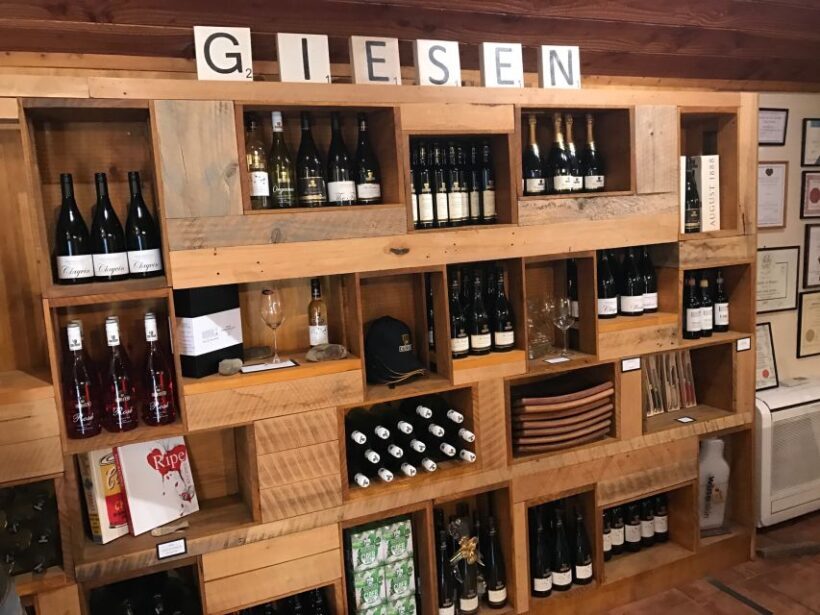 Onshore Highlights of Marlborough's Wine Region from Picton - Review Highlights & Authentic Perspectives