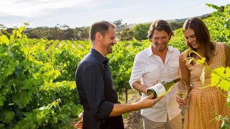 Ontario: Afternoon Wine Tour and Cheese Pairing - An In-Depth Look at the Tour Itself