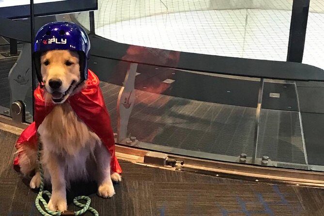 Ontario Indoor Skydiving Experience with 2 Flights & Personalized Certificate - The Personalized Certificate