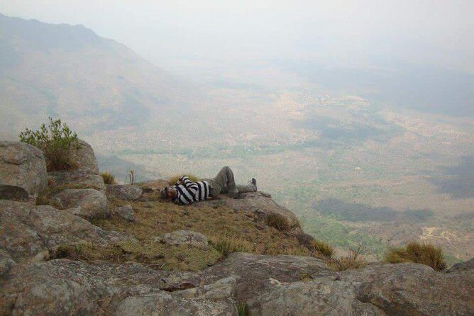 Ooty - Day Trip to Bellikkal Estate - Who Should Consider This Tour?