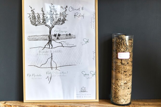 OP1 Tasting of three Champagnes in Cramant - Who Will Love This Tour?