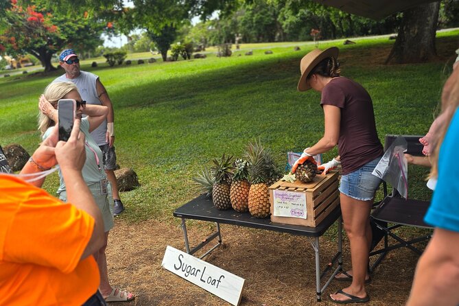 Opaeka'a falls, Spouting Horn, Poipu Beach - Authentic Experiences and Review Highlights