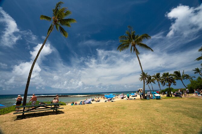 Opaeka'a falls, Spouting Horn, Poipu Beach - The Sum Up: Who Will Love This Tour?