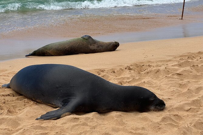 Opaeka'a falls, Spouting Horn, Poipu Beach - Frequently Asked Questions