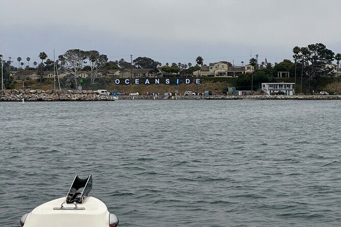 Open Boat Whale Watching - Who Should Book This Tour?