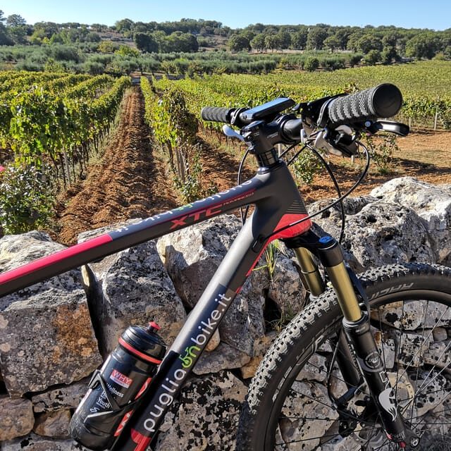 Open guided bike tour in Locorotondo and Alberobello - An In-Depth Look at the Tour