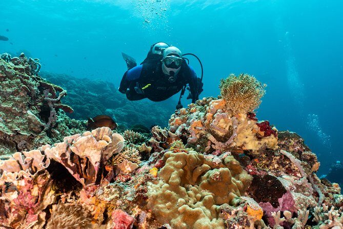 Open Water + Advanced Course - Premium Certifications Package in Pemuteran, Bali - FAQ