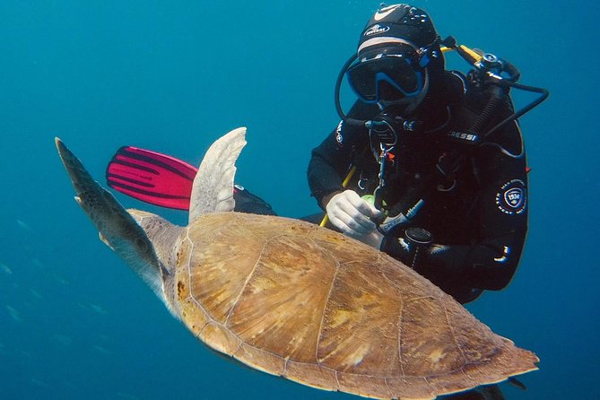 OPEN WATER CERTIFICATION - Become an Autonomous Diver up to 18M ! - Dive Sites and Experiences