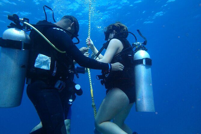 Open Water Certification Course-PADI - Pricing and Value: Is It Worth It?