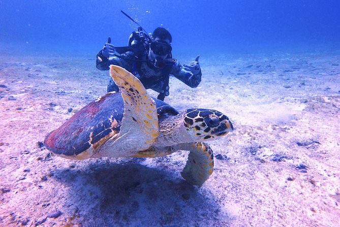 Open Water Certification Course-PADI - The Sum Up: Who Will Love This Course?