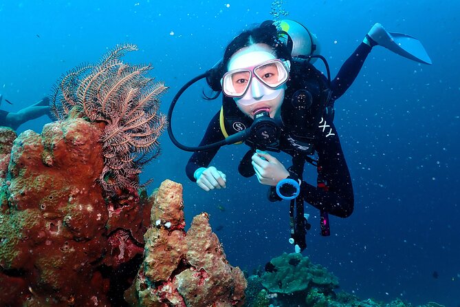 Open Water Course - Become certified diver in 3 days - Key Points