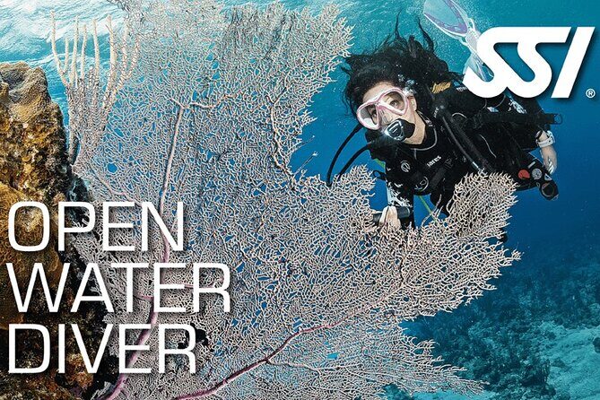 Open Water Course in Koh Samui - Key Points