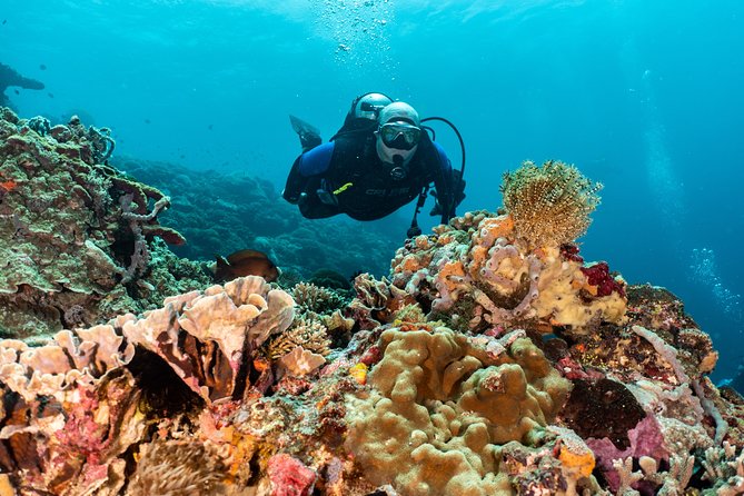 Open Water Course in Pemuteran - Get Certified in Bali - FAQ