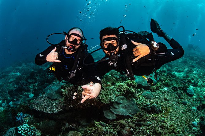 Open Water Course in Tulamben - Get Certified in Bali - The Sum Up: Is This the Right Choice for You?