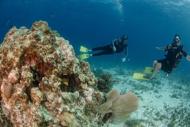 Open Water course Isla Mujeres - Why Choose This Course?