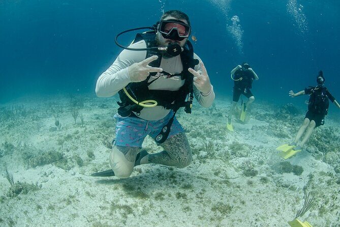 Open Water course Isla Mujeres - Who Will Benefit Most?