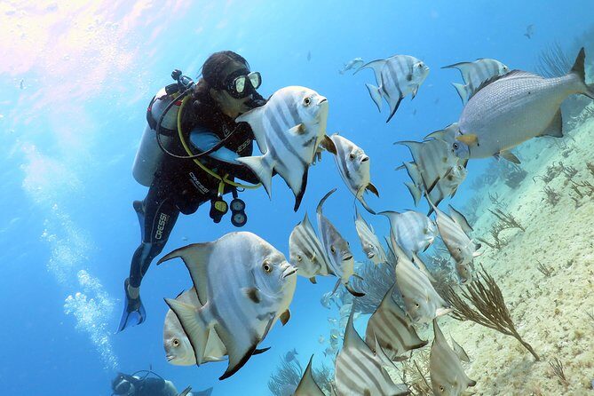 Open Water Diver 2-Day PADI Course in Playa del Carmen - Frequently Asked Questions