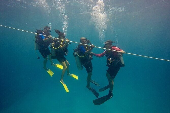 Open Water Diver - Bávaro - Introduction
