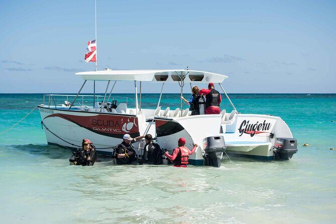 Open Water Diver - Bávaro - Final Thoughts: Who Is This Tour For?