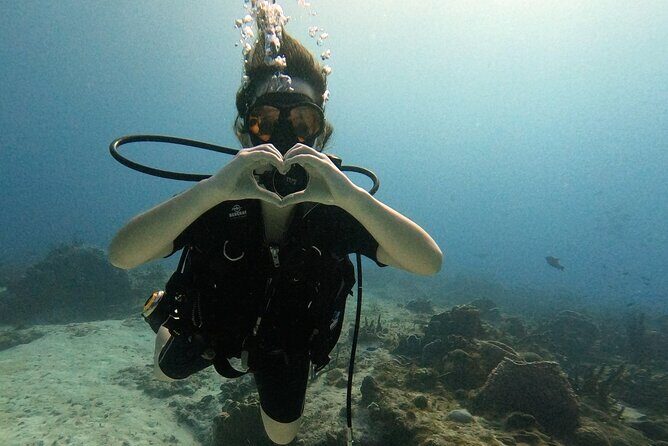 Open Water Diver Course - Practical Details: Logistics, Cost, and What’s Included