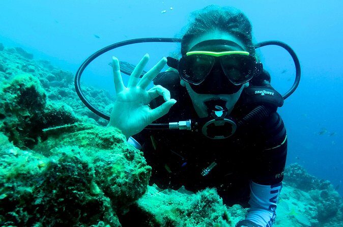 Open Water Diver Course at Blue Bay Dive in Curacao - Who Should Consider This Course?