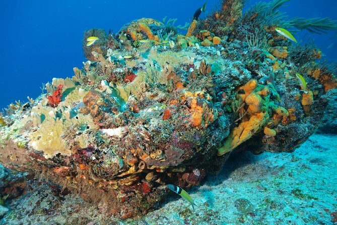 Open Water Diver course PADI including underwater video - Final Thoughts: Is It Worth It?