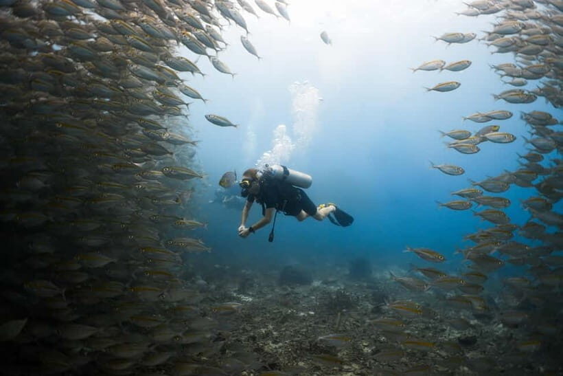 Open Water Diver in Koh Tao in 2.5 days - A Closer Look at the Koh Tao Open Water Diver Course