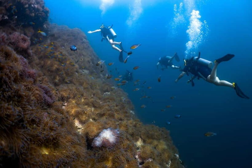 Open Water Diver in Koh Tao in 2.5 days - FAQ