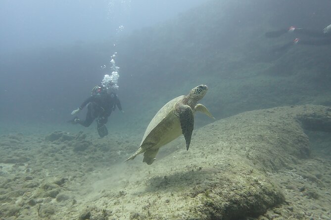 Open Water Scuba Certification - Course Structure and Schedule