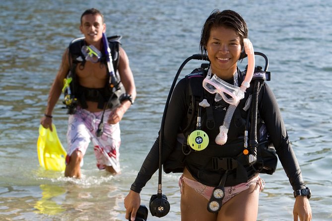 Open water scuba certifiication course with beach dives - Why Travelers Love This Course
