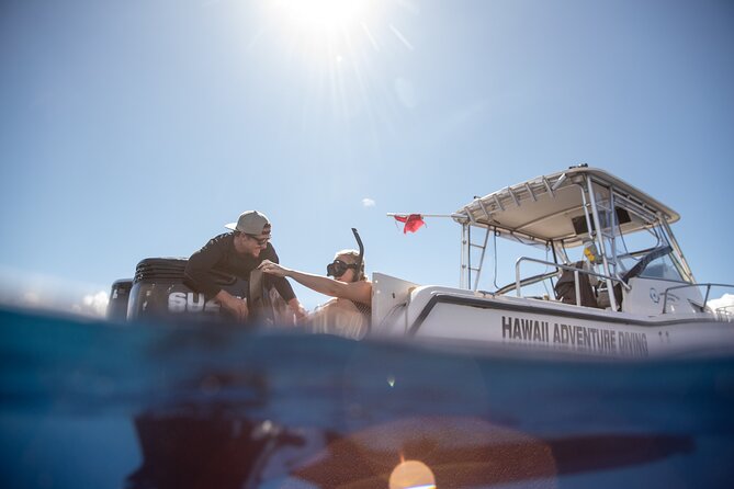 Open Water Shark Dive - What to Expect on the Tour