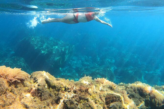 Open-Water Swimming in Madeira - Who Will Love This Tour?