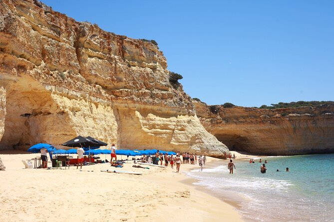 Ophelia Catamaran Cruises + Beach BBQ - Final Thoughts