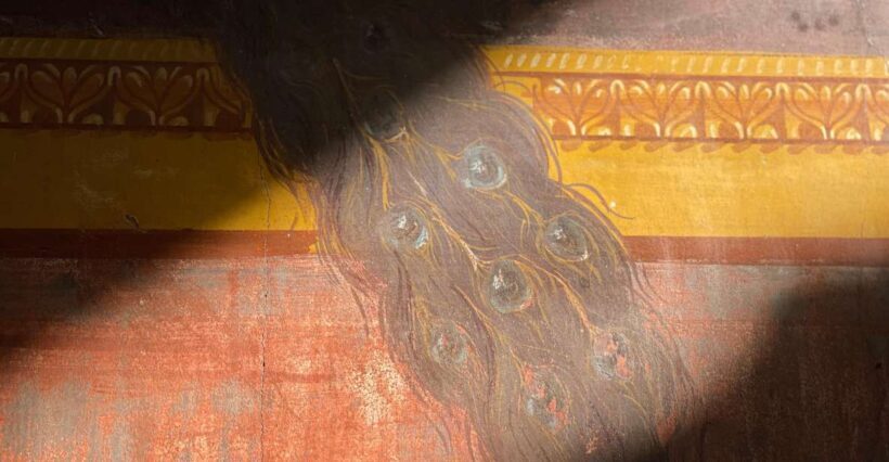 Oplontis Villa: Private Guided Tour with your Archaeologist - An In-Depth Look at the Oplontis Villa Private Tour
