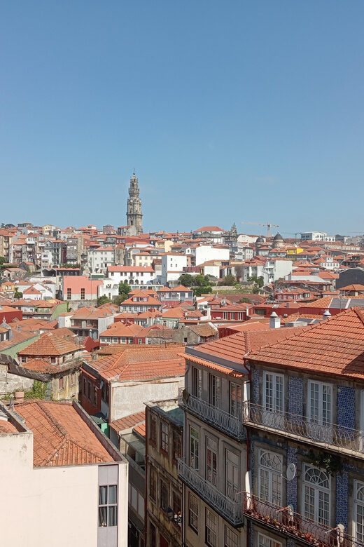Oporto - Old town tour with official tour guide - The Sum Up
