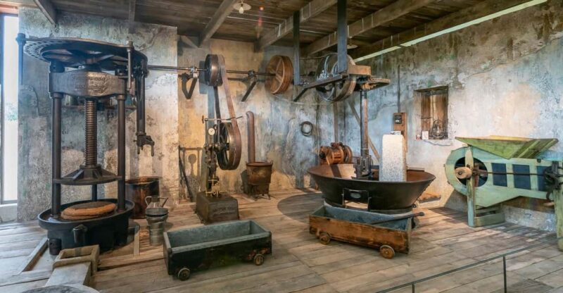 Oppède: Olive Oil Museum Visit - Museum Highlights