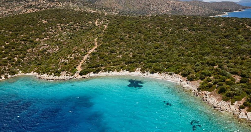 Orak island Boat Trip Bodrum - Why this tour suits different travelers