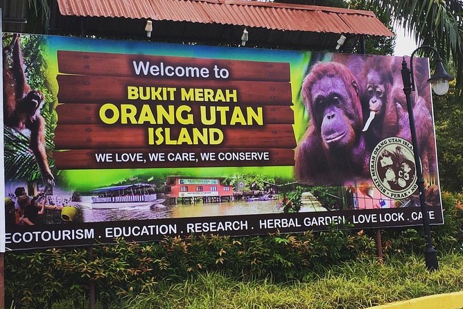 Orang Utan Island Day Tour - Transportation and Group Size
