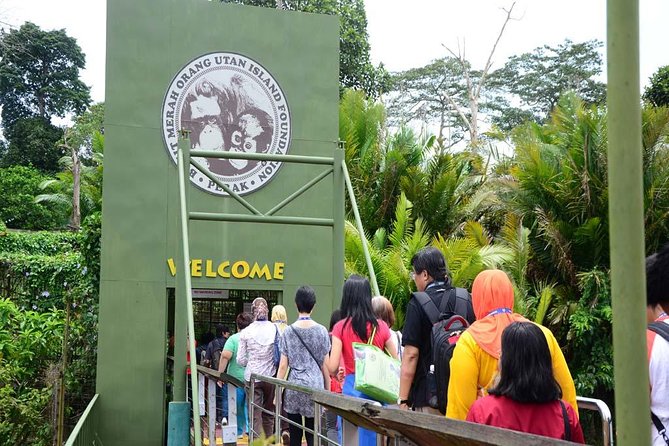 Orang Utan Island Day Tour - Authentic Insights from Travelers