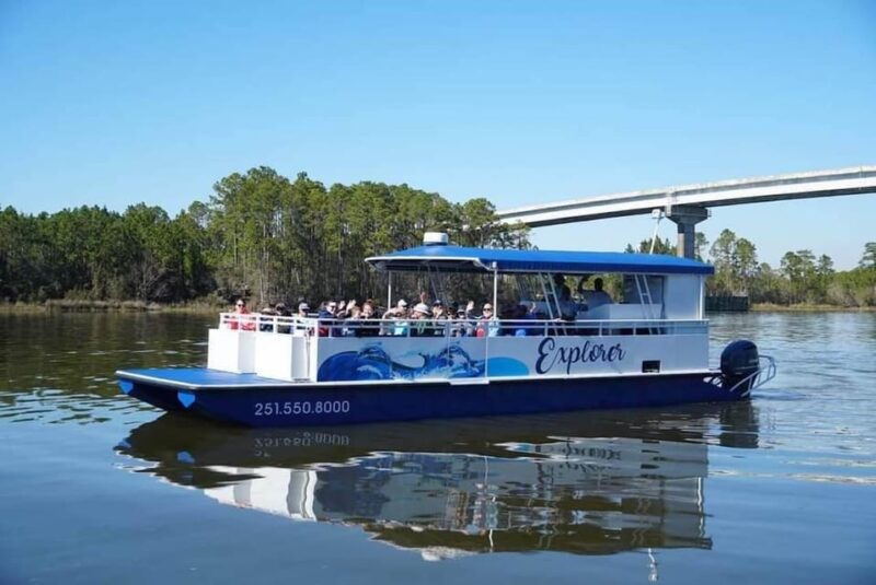 Orange Beach: Dolphin Eco Sunset Cruise aboard The Explorer - Why You Should Consider This Tour