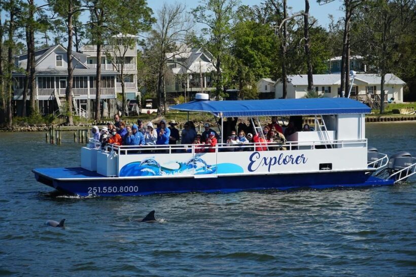 Orange Beach: Dolphin Eco Sunset Cruise aboard The Explorer - Setting the Scene: What the Tour Looks Like