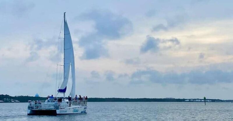 Orange Beach: Dolphin & Sailing Cruise Aboard 52' Catamaran - Practical Tips for Your Cruise