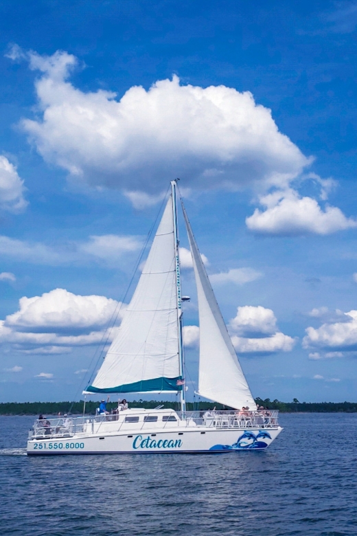 Orange Beach: Dolphin & Sailing Cruise Aboard 52' Catamaran - Authentic Feedback from Past Travelers