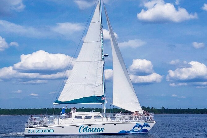 Orange Beach Dolphin Sailing Cruise Aboard Catamaran - Amenities and Services Offered
