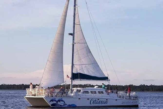 Orange Beach Dolphin Sailing Cruise Aboard Catamaran - Accessibility and Safety Information