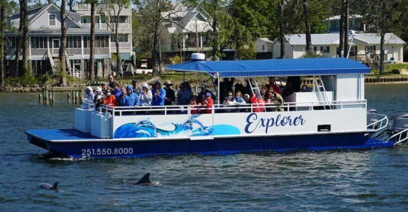 Orange Beach: Dolphin-Watching Eco-Boat Tour - The Sum Up