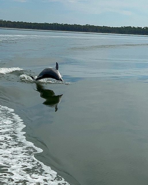 Orange Beach: Dolphin-Watching Eco-Boat Tour - The Experience of Dolphin Sightings