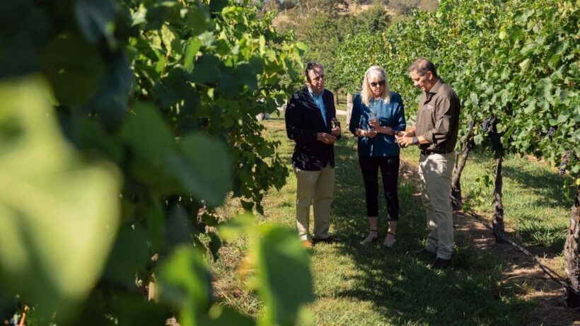 Orange: Explore with Swinging Bridge - Guided Tour & Tasting - Value for Money