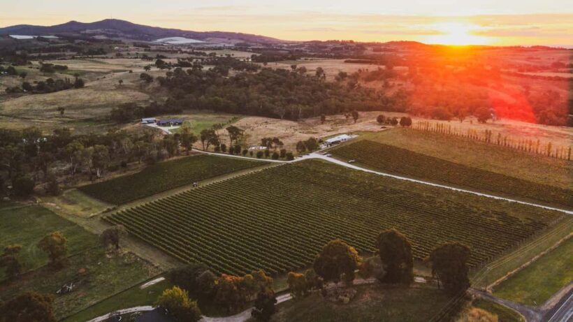 Orange: Indulge with Swinging Bridge - 5-Course Lunch & Tour - The 5-Course Degustation Lunch